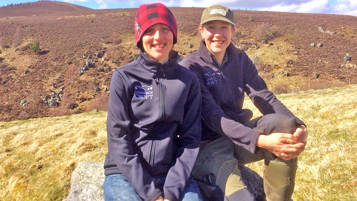 BBC Radio 4 - On Your Farm, 21st-Century Croft