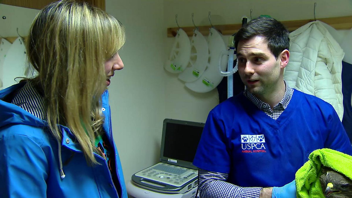 BBC One - Home Ground, Series 4, Episode 1, Ruth goes out with the ...