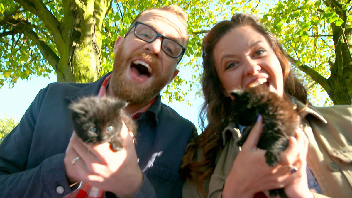 CBeebies - Ferne and Rory's Vet Tales, Vets Help pets song