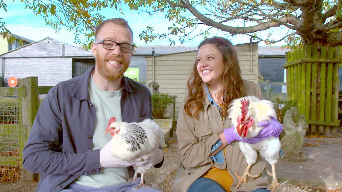 CBeebies - Ferne and Rory's Vet Tales, Exercise song