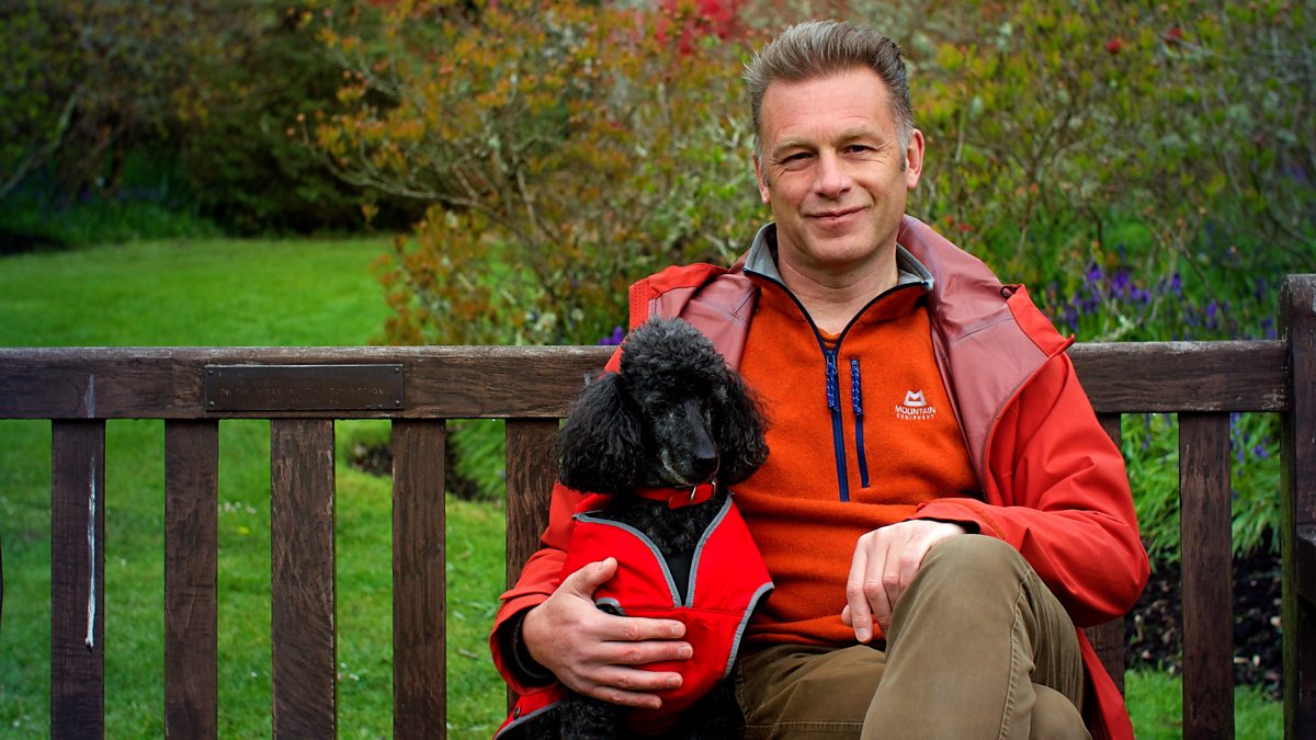 BBC One - Lifeline, Chris Packham's Lifeline Appeal for Dogs for Good