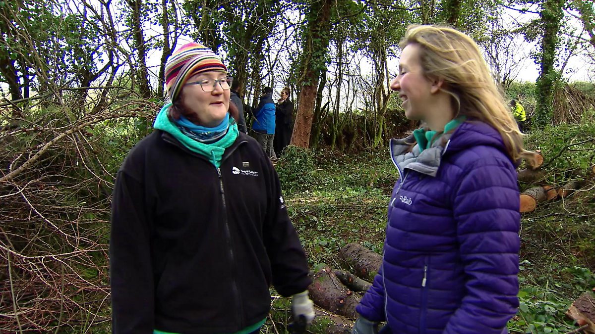 BBC One - Home Ground, Series 4, Episode 3, Hedgerow laying