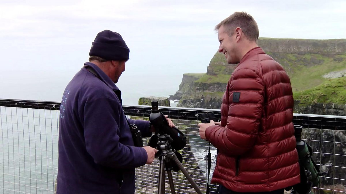 BBC One - Home Ground, Series 4, Episode 4, Rathlin Puffins