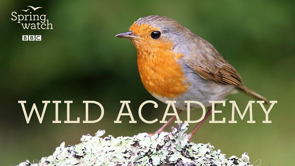 BBC Two - Springwatch, Wild Academy 2018