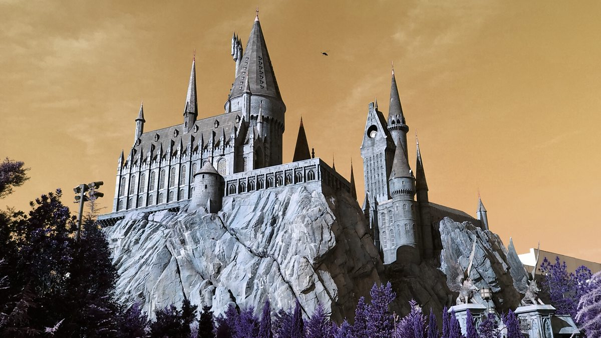 BBC World Service - More or Less, Harry Potter: How Many Wizards ...