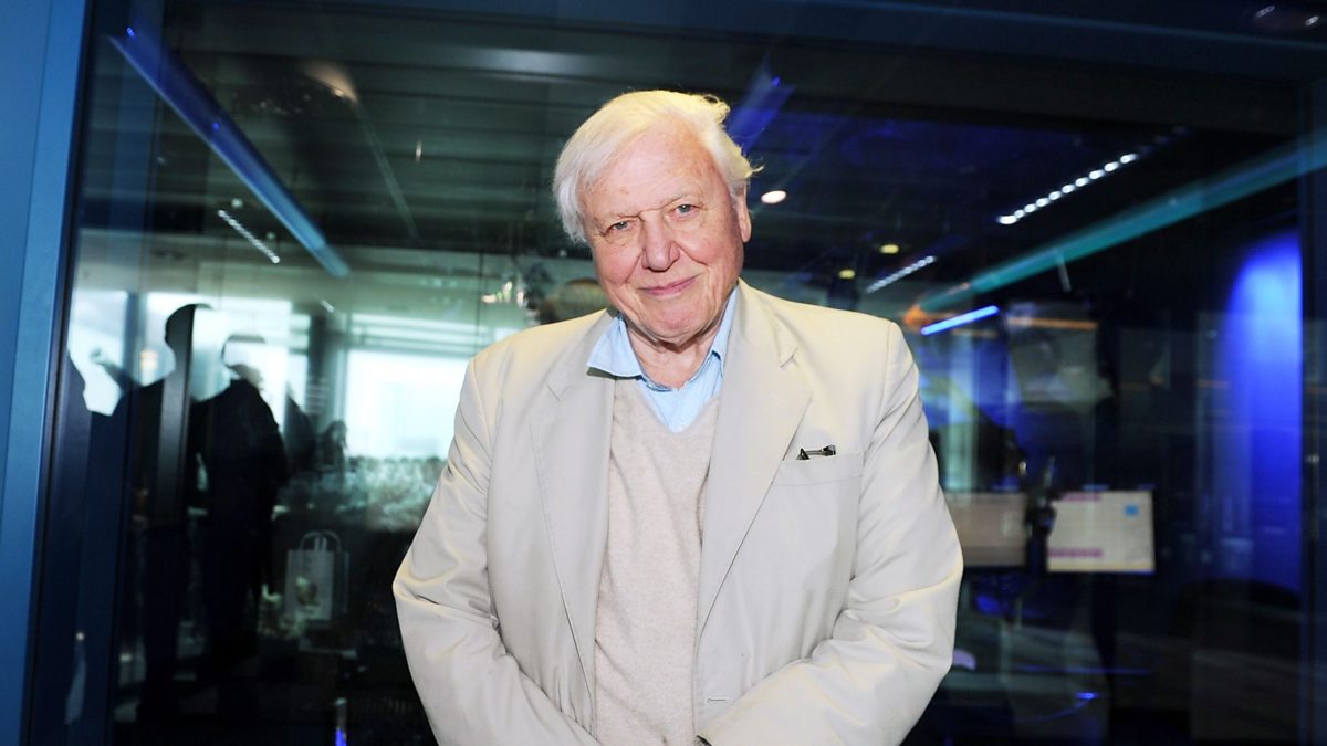 BBC Radio 1 - Radio 1 Breakfast with Greg James - How well do you know ...