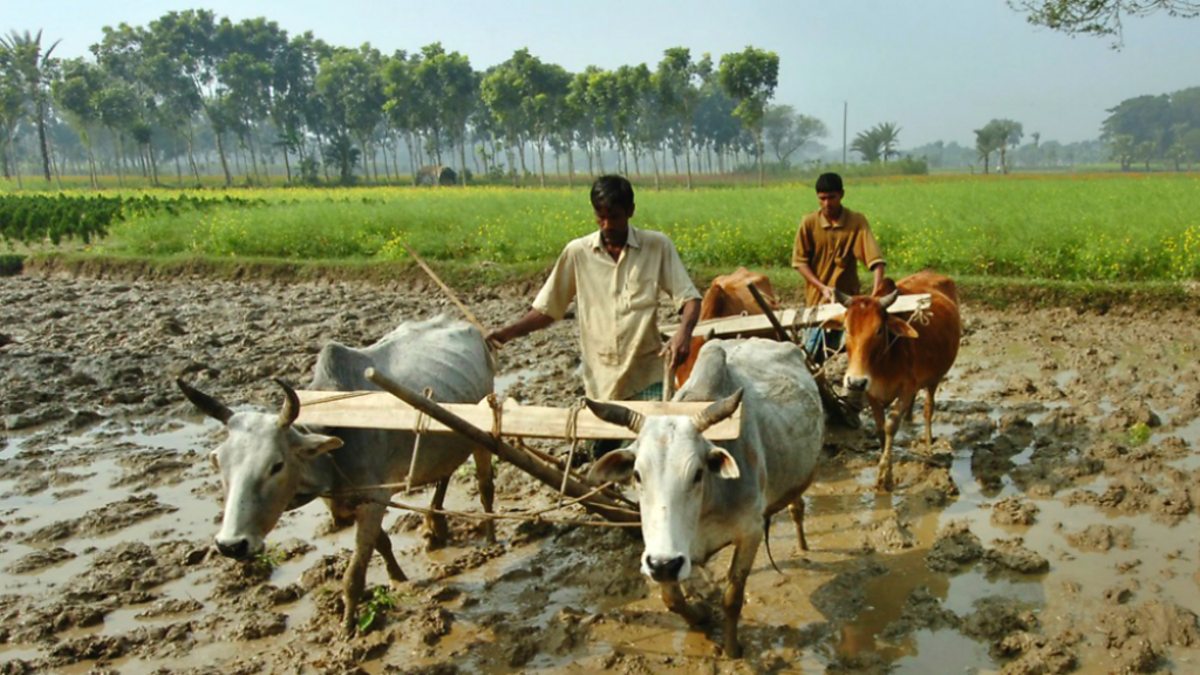 BBC World Service - From Our Own Correspondent, Natural Cycles, Manmade ...