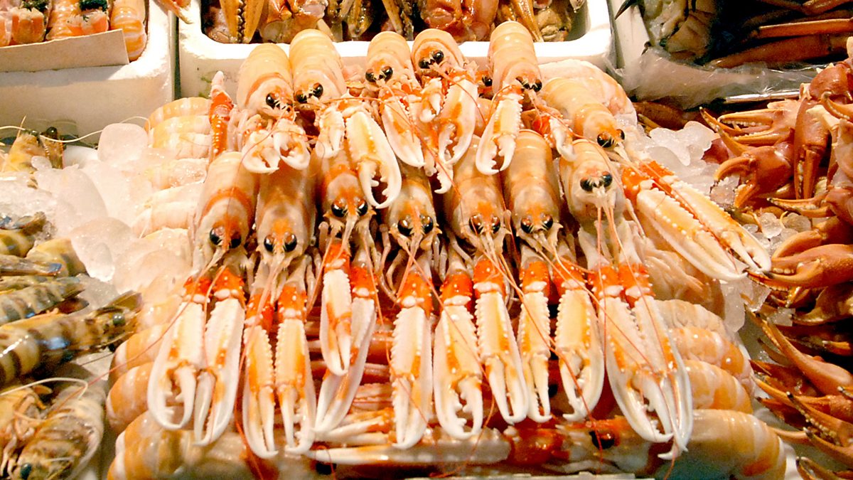 BBC Scotland - BBC Scotland - Plastic’s fantastic alternative — how a ...