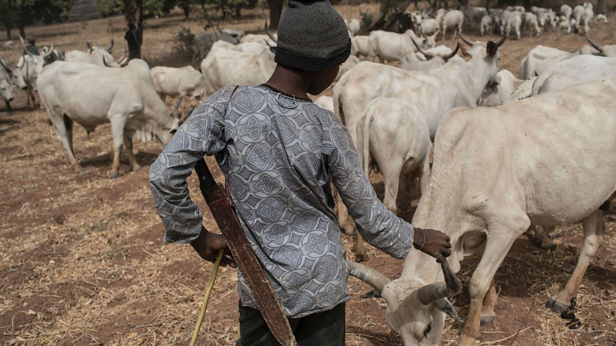BBC World Service - World Business Report, Nigeria Herdsmen Clashes ...