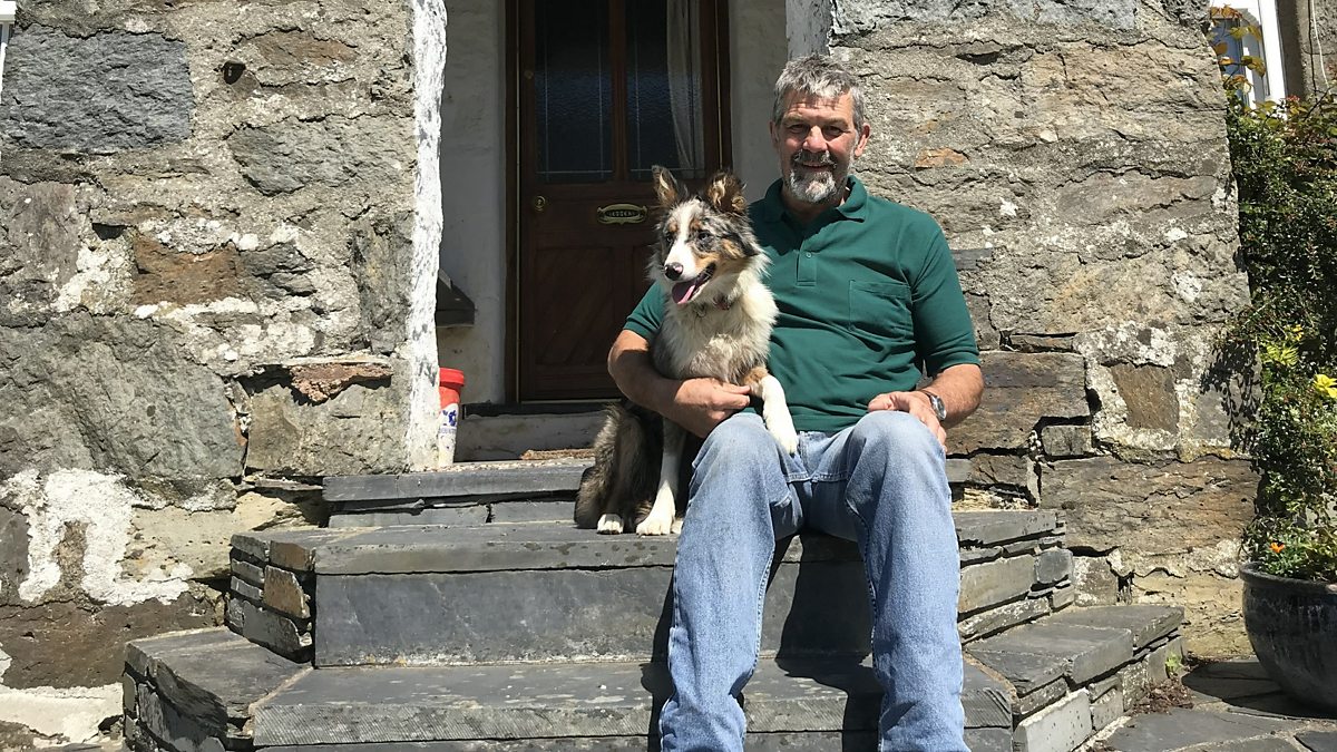 BBC Radio Cymru - Aled Hughes, Ci Defaid Cymreig