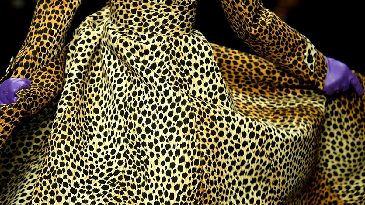 BBC Radio Cymru - Bore Cothi, Print Llewpard