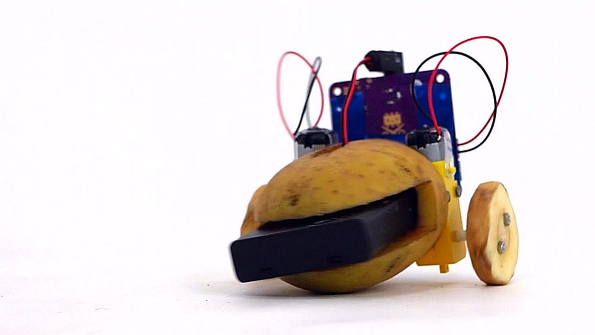 BBC News - Click, The AI bot you can make with a potato