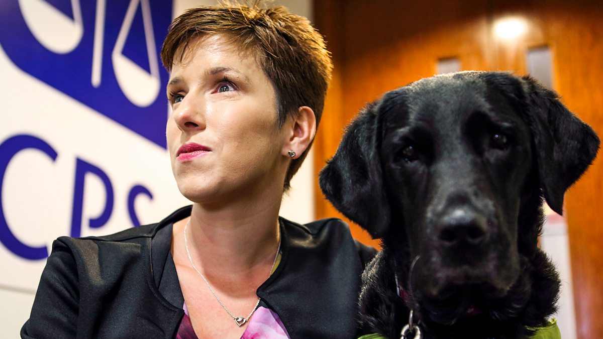 BBC Two - The Prosecutors