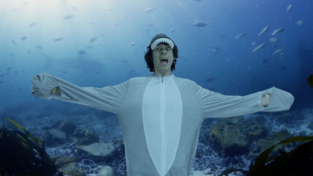 CBeebies - Andy's Animal Raps, Sharky Showdown