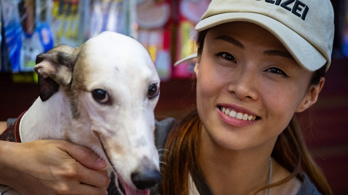 BBC World Service - The Fifth Floor, Goodbye Greyhounds