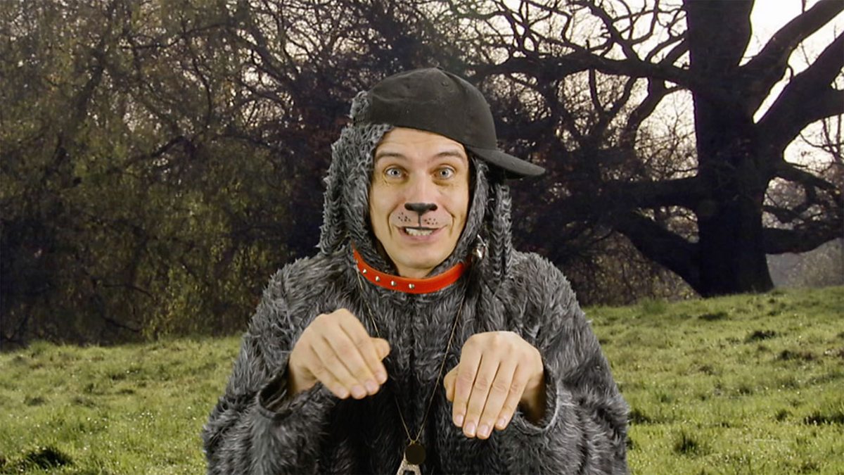 CBeebies - Andy's Animal Raps, Join the Wolf Pack