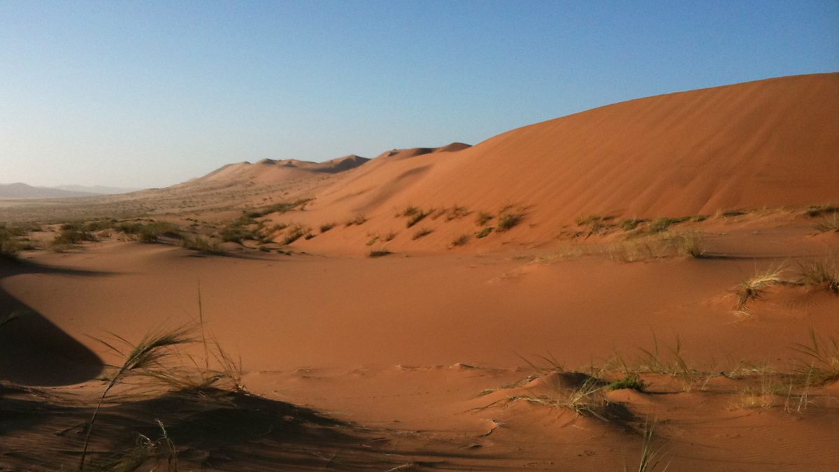 BBC World Service - The Compass, Living with Nature, The sounds of the ...