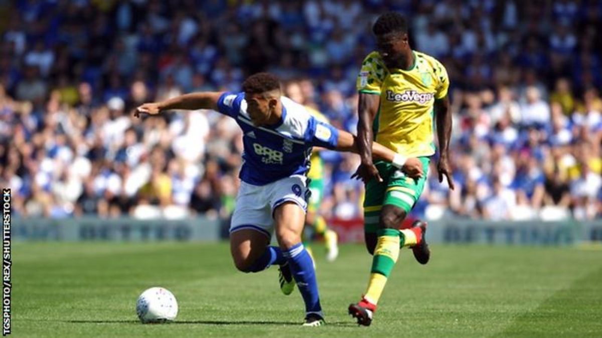 BBC Radio Norfolk - Canary Call, With Cedric Anselin and Rob Butler ...