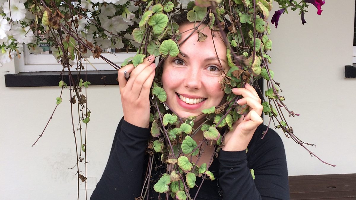 BBC Radio Norfolk - Treasure Quest, With David Whiteley and Anna ...