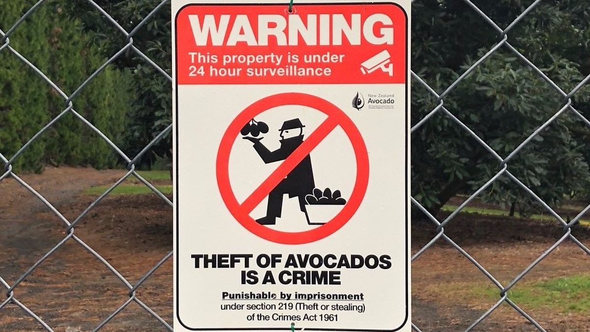 BBC World Service - BBC Minute, BBC Minute: On avocado thefts