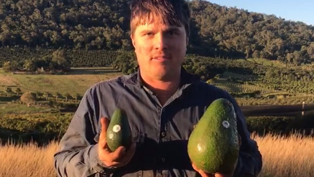 BBC World Service - BBC Minute, BBC Minute: On the Avozilla