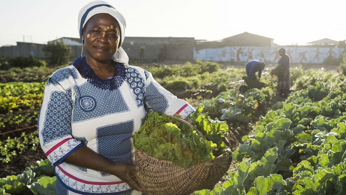 BBC World Service - Business Daily, Tackling Africa's Land Rights
