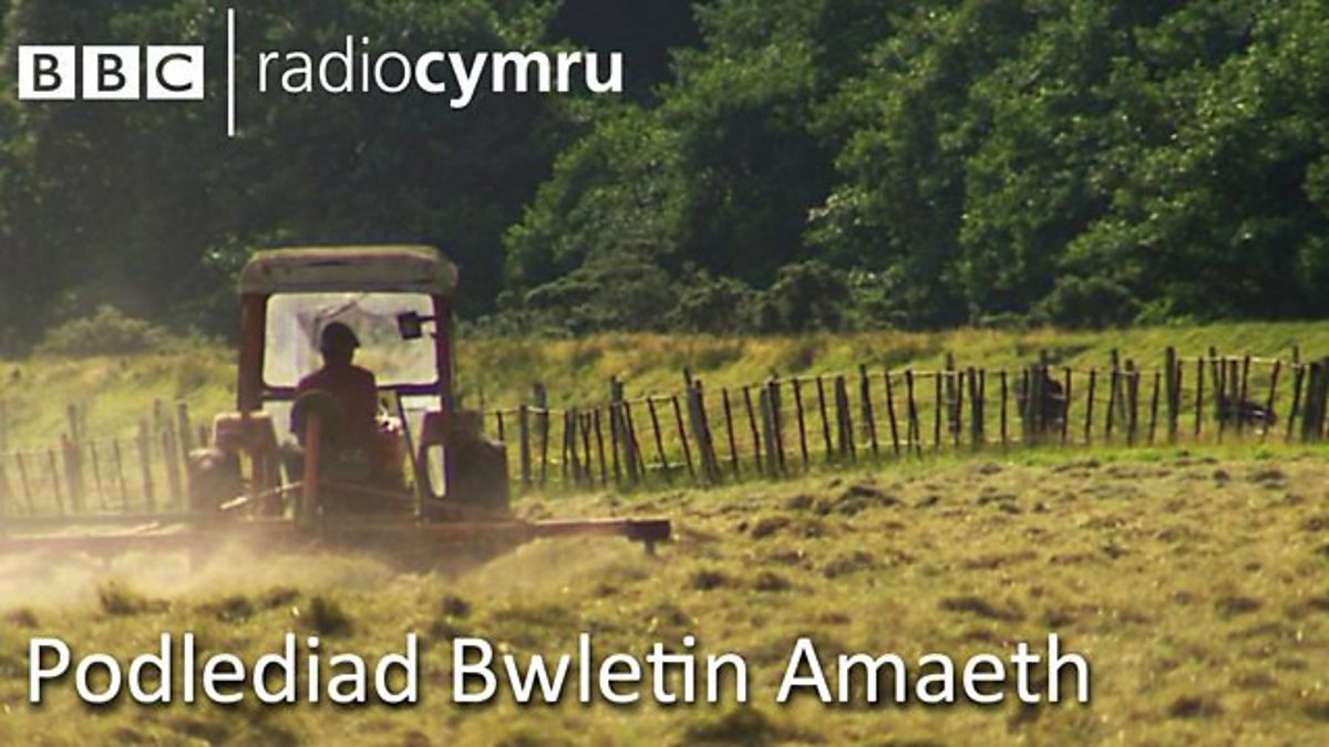 BBC Radio Cymru - Bwletin Amaeth, Cyfarfodydd Cynllun Cymorthdaliadau.