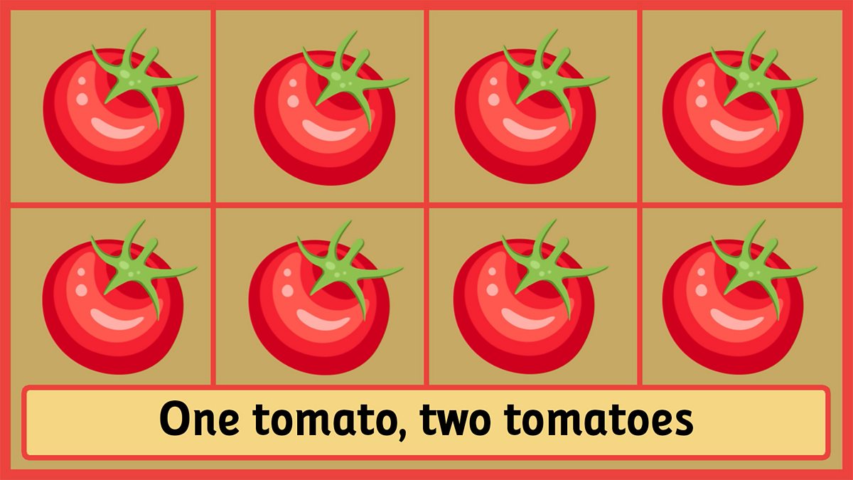 One Tomato Song