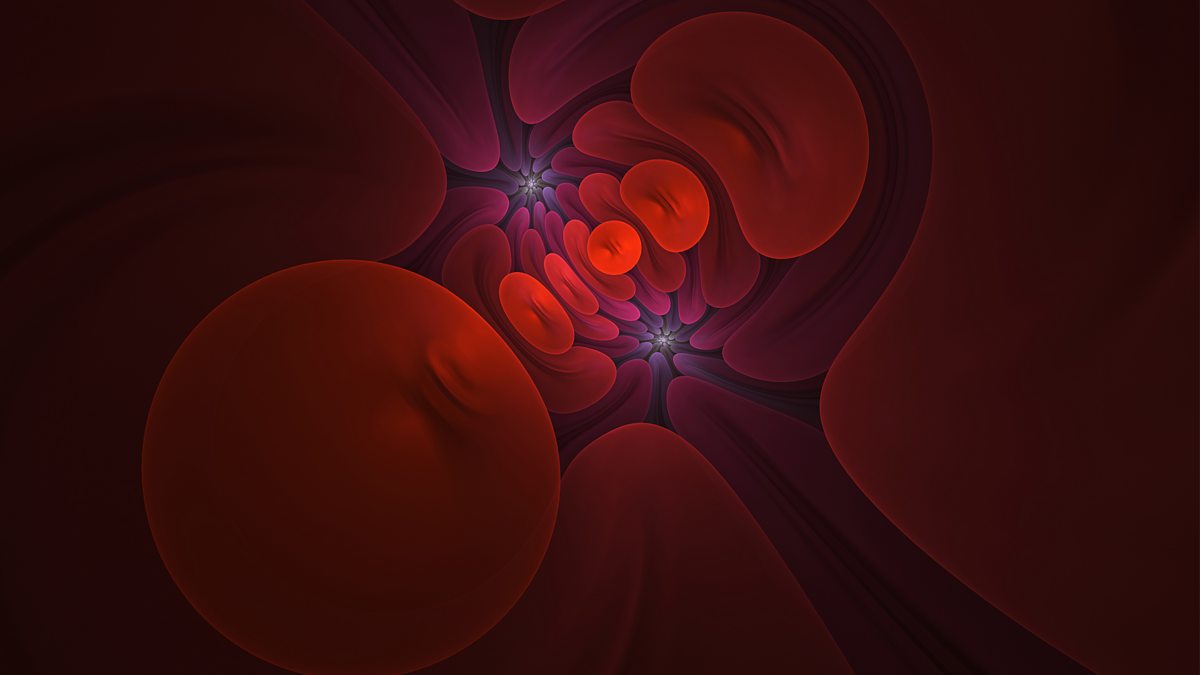 BBC World Service - Discovery, In Their Element, Iron, How too much ...