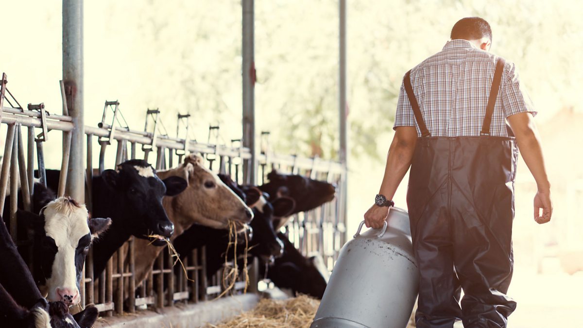 BBC World Service - The Food Chain, Going Off Cow's Milk?, Would ...