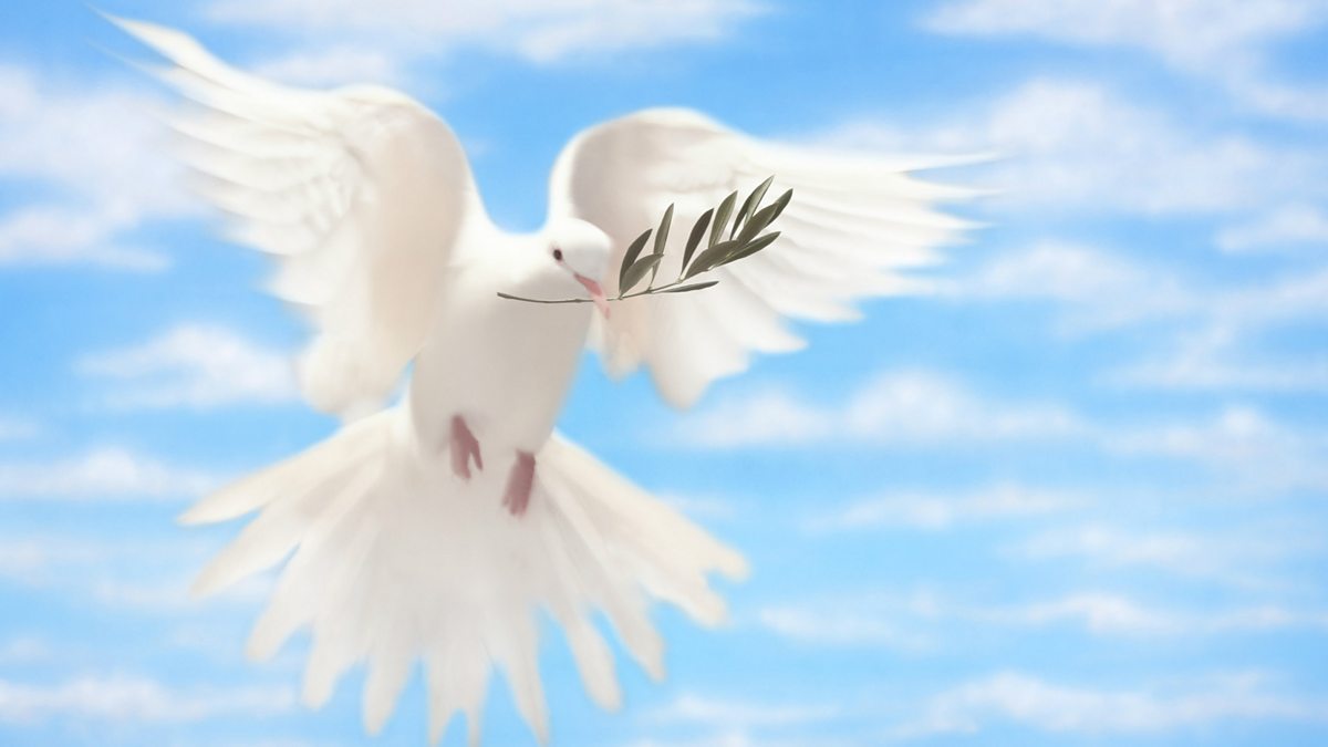 BBC Radio Ulster - Thought for the Day from Radio Ulster, Fr Martin ...