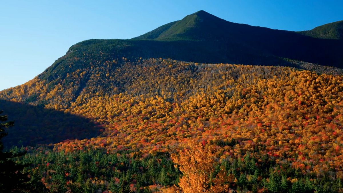 BBC Two - Autumnwatch, This is Autumnwatch 2018