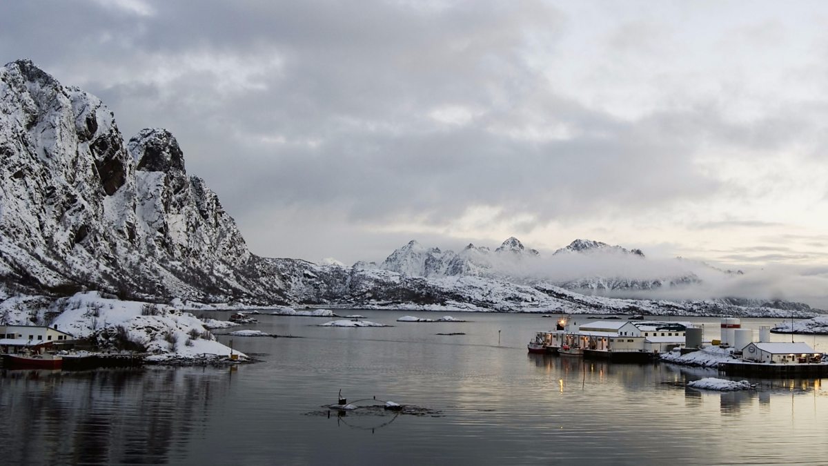 BBC World Service - Newshour, The Norway paradox: Oil giant or clean ...