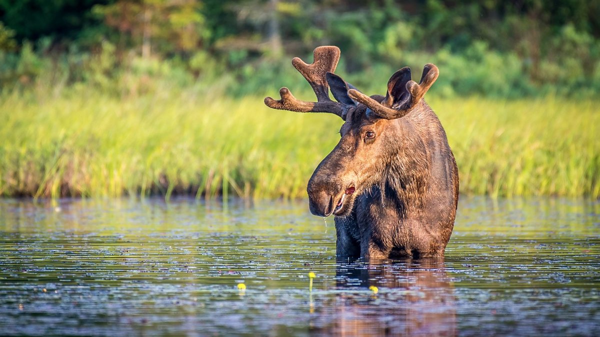 BBC Two - Autumnwatch - Meet the cast
