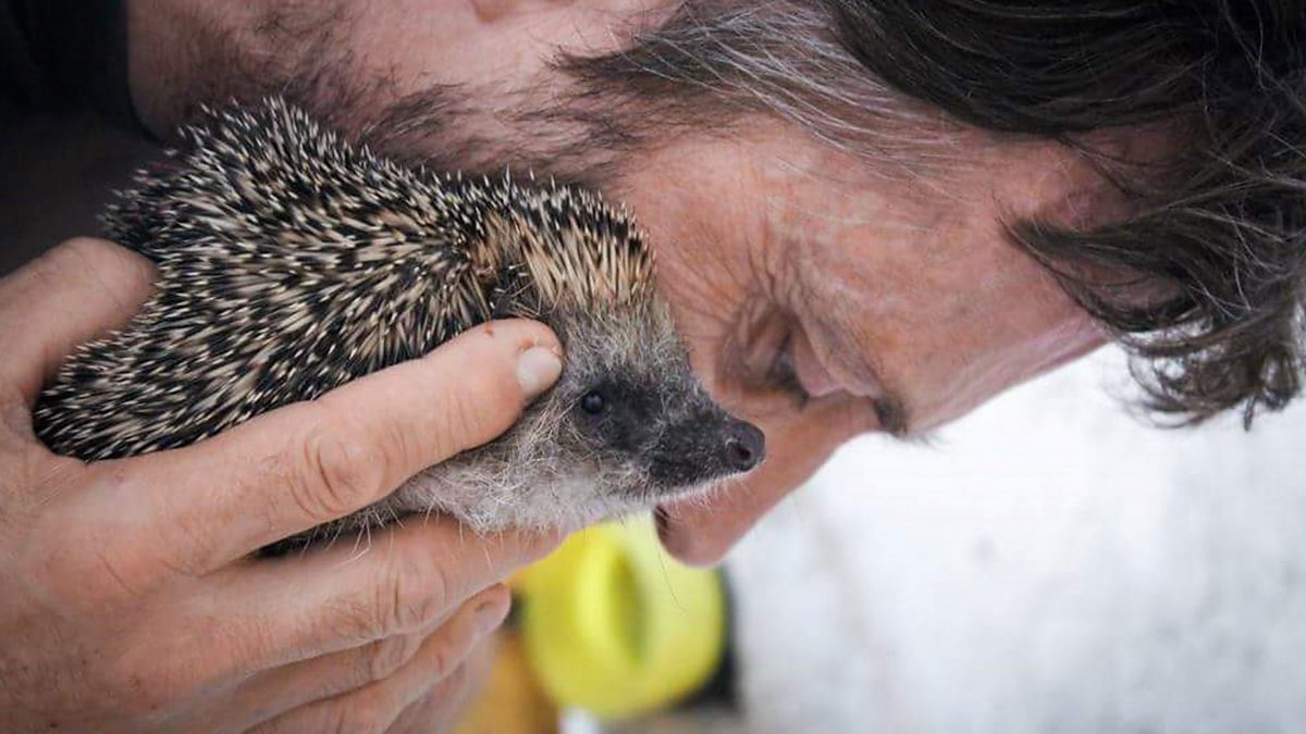 BBC World Service - Outlook, Italy’s hedgehog saviour