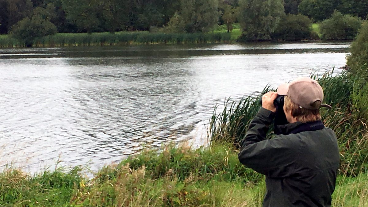 BBC Radio Ulster - Your Place and Mine, Tobermore, Craigavon and Lough ...