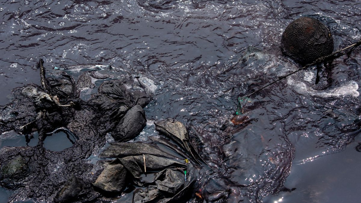 BBC News - Big Boss Interview, Indonesian Journey: World's Most ...