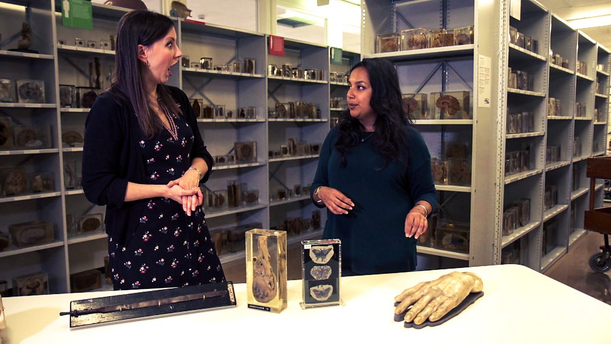 BBC News - The Travel Show, Open City