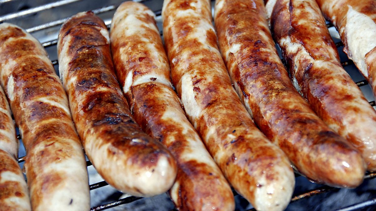 BBC Radio Cymru - Bore Cothi, Dysgu am Selsig