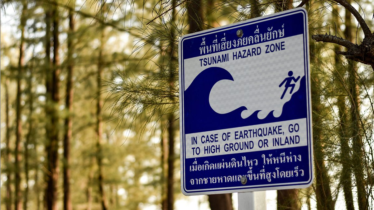 BBC World Service - More or Less, Timing a Tsunami