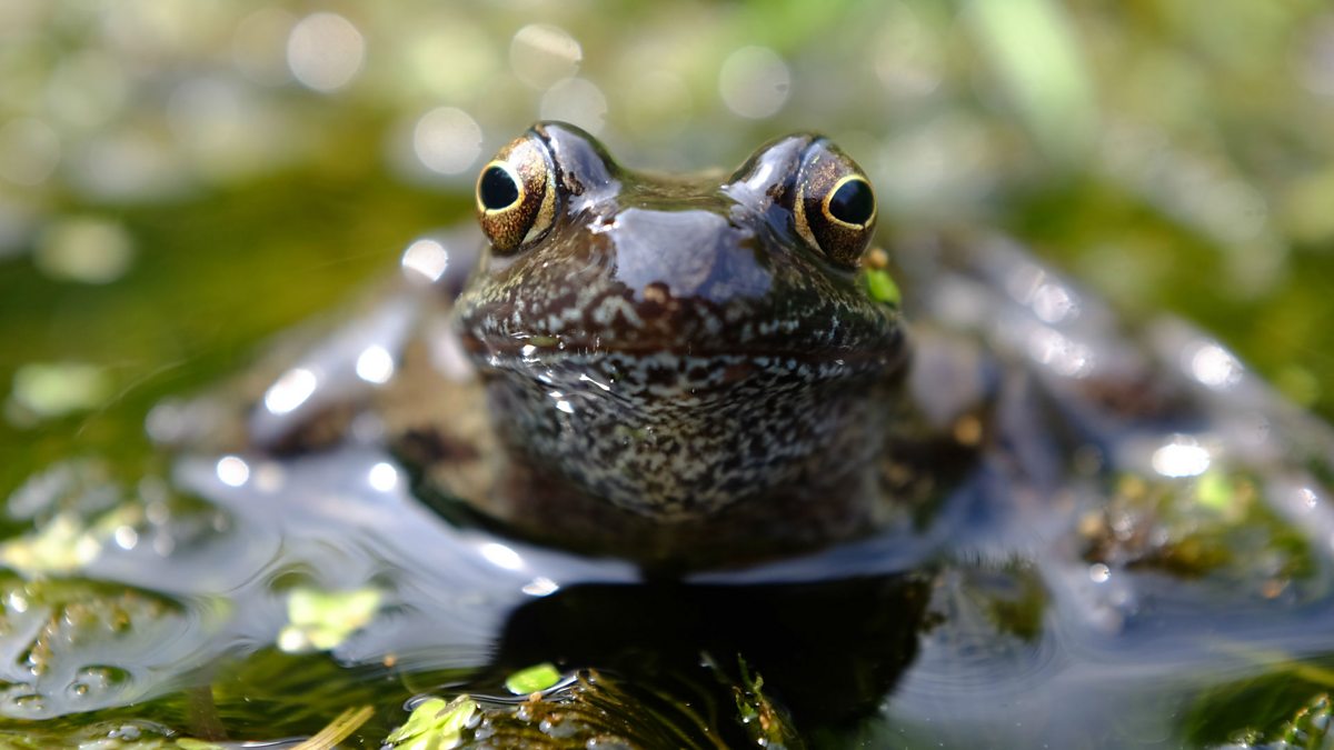 BBC Radio Ulster - Thought for the Day, Denis Tuohy, Tuesday 6th ...