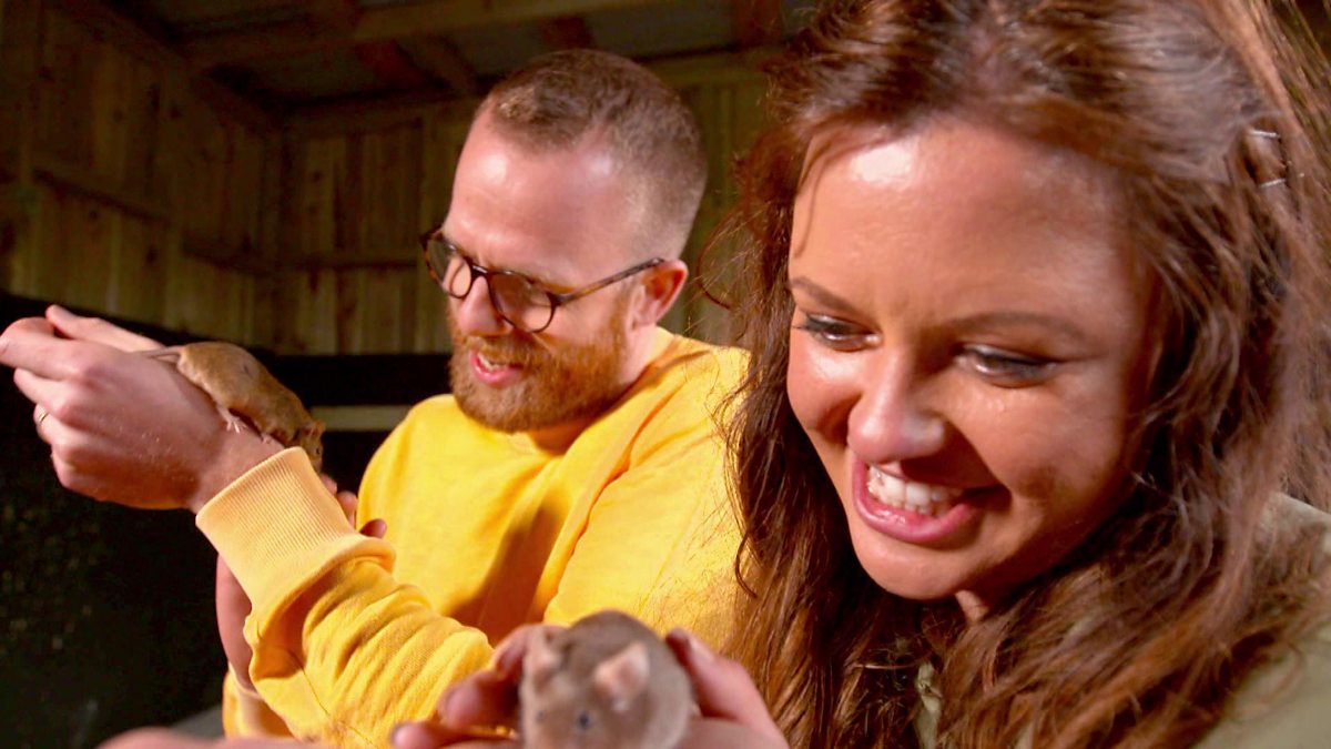 CBeebies - Ferne and Rory's Vet Tales, Ferne and Rory's Parasite Song