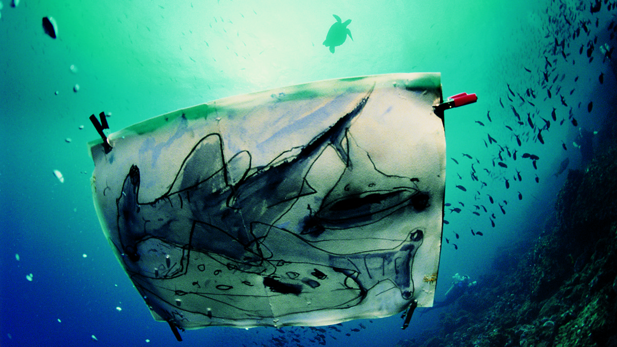 BBC Radio 4 - Radio 4 in Four, Olly and Suzi brave sharks for their art