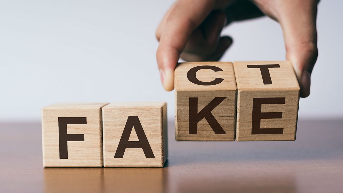 BBC World Service - The Real Story, Is 'Fake News' a Threat to Democracy?