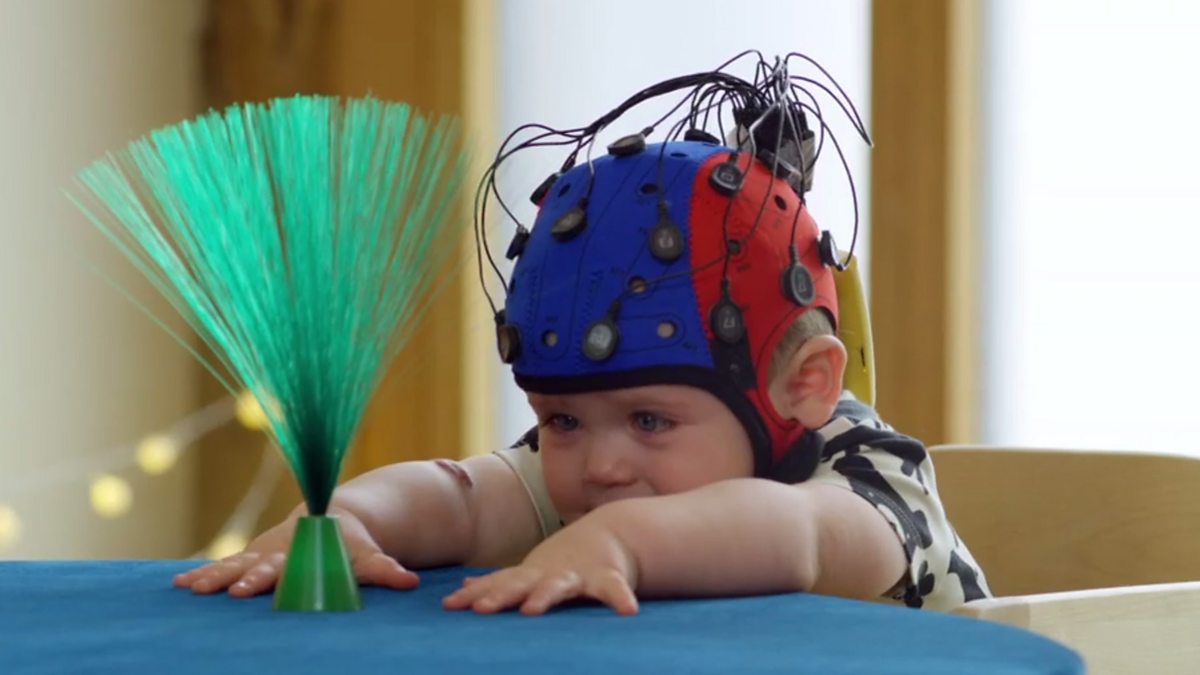 BBC Two - Babies: Their Wonderful World, Series 1, Becoming You, Do ...