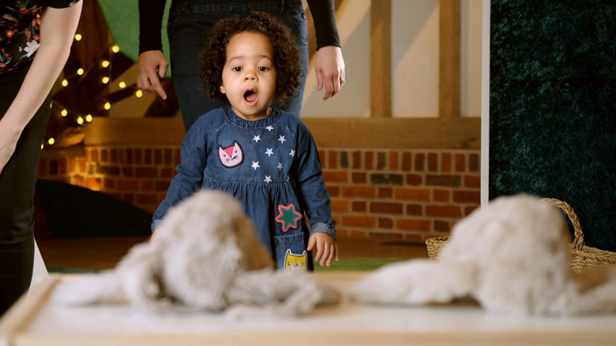 BBC Two - Babies: Their Wonderful World, Exploring the first two years ...