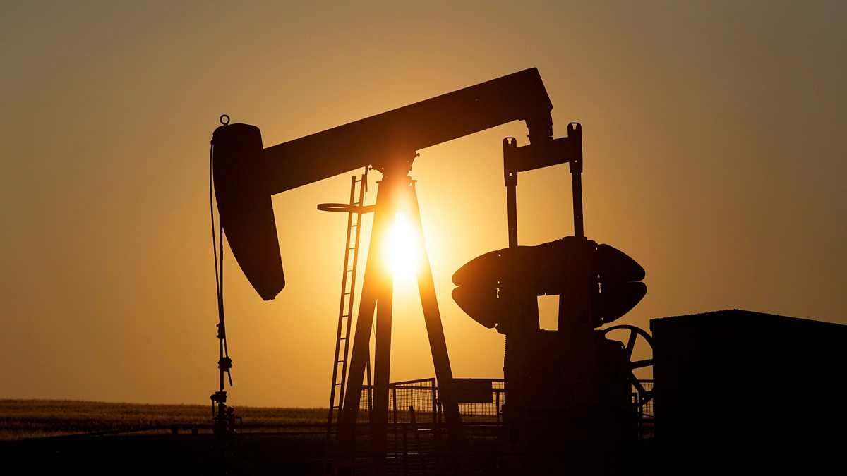 BBC News - Big Boss Interview, West Texas Crude Oil Hits Year-Low Price