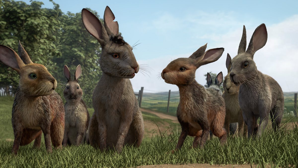 BBC One - Watership Down, Trailer: Watership Down