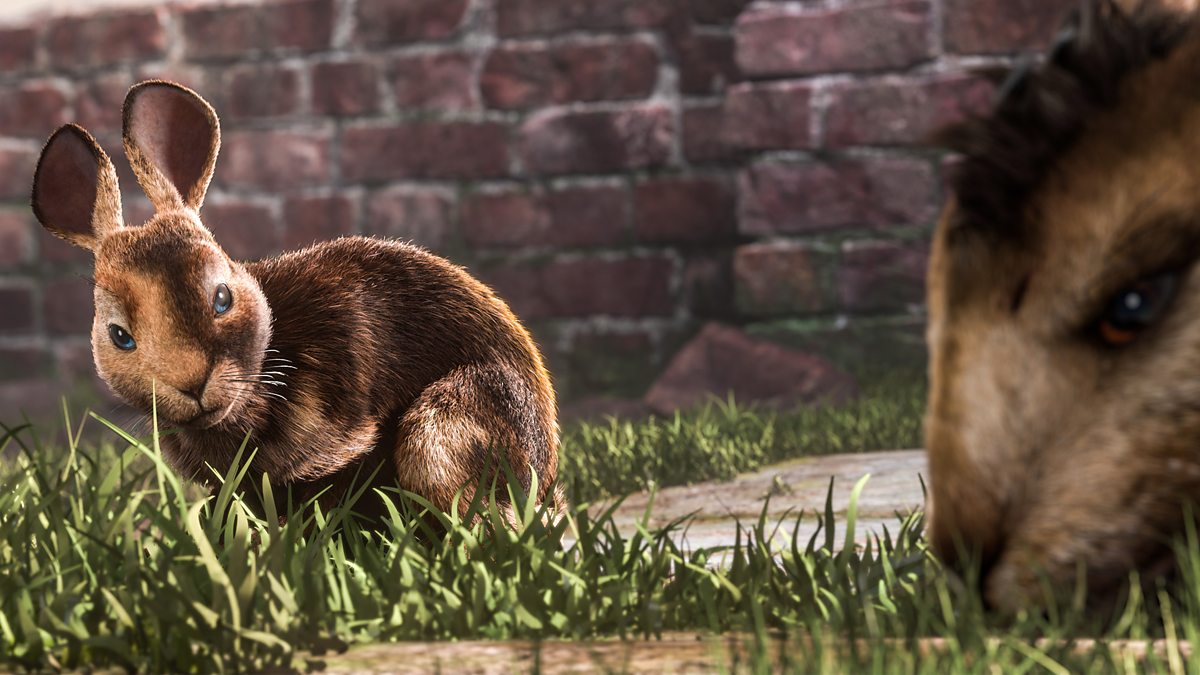 BBC One - Watership Down, Two-Part Version, The Escape and the Siege