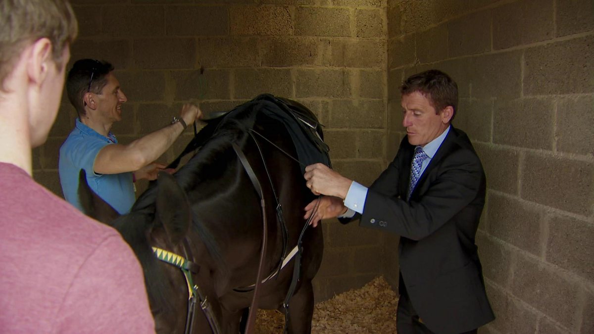 BBC One - The Horsey Set... At Down Royal, Series 1, Episode 2, Johnny ...